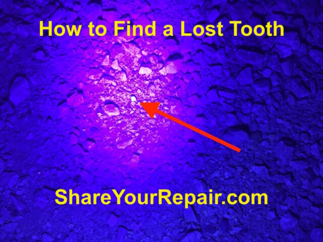 How to Find a Lost Tooth · Share Your Repair
